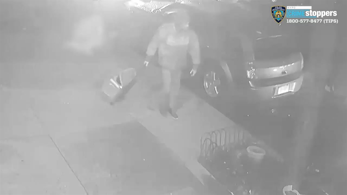 Attacker Brutally Beats 63 Year Old Woman With Suitcase Nypd Nbc New