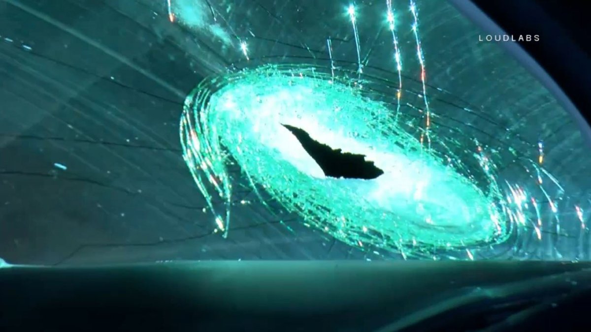 Long Island Window Smasher: Man Allegedly Bricked 27 Cars, Cops Say ...