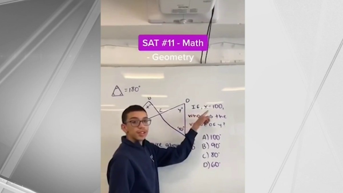 Tik Tok Tutor: Bronx Student Teaches Math as Kids Struggle With Remote ...