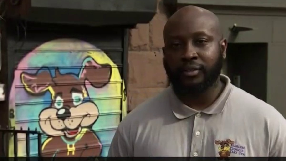 ‘Dogfather of Harlem’ Hitting the Road to Help Pet Owners – NBC New York