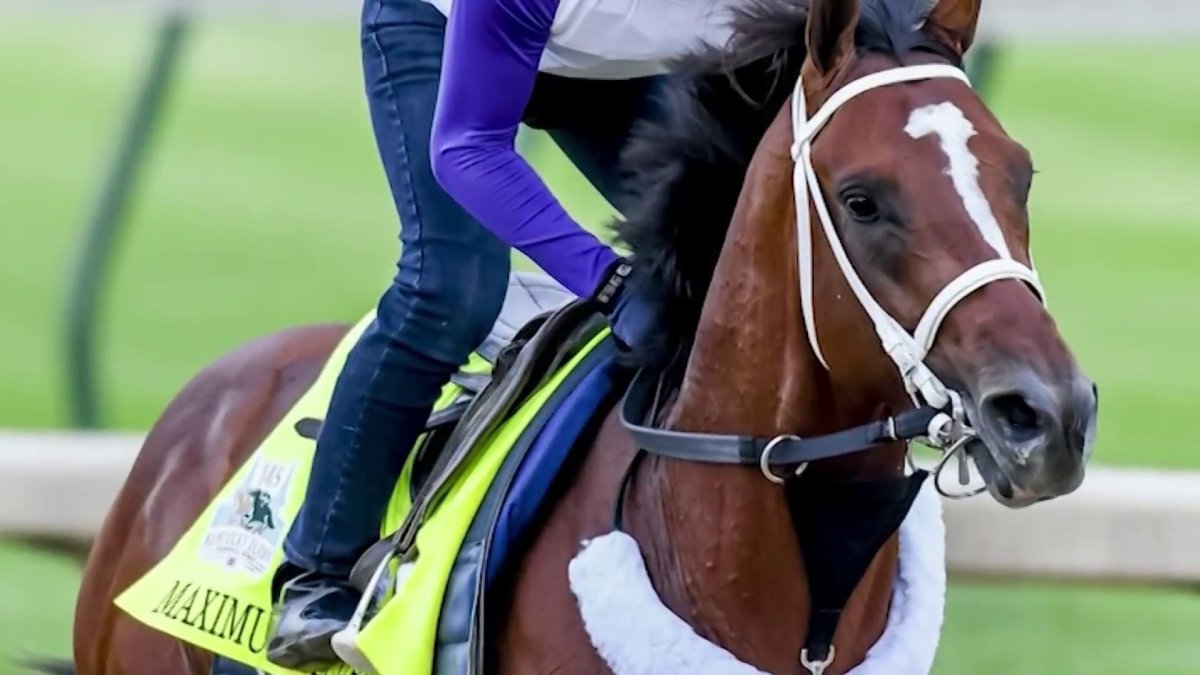 More Than Two Dozen Arrested in Horse Doping Scheme – NBC New York