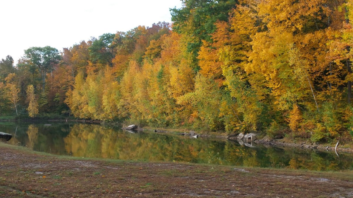 What Is The Autumnal Equinox? Meaning Of The Day Explained – NBC New York
