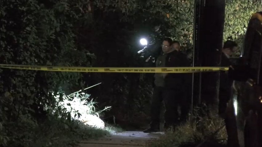 Dead Body Found Wrapped in Blanket in the Bronx: Police – NBC New York