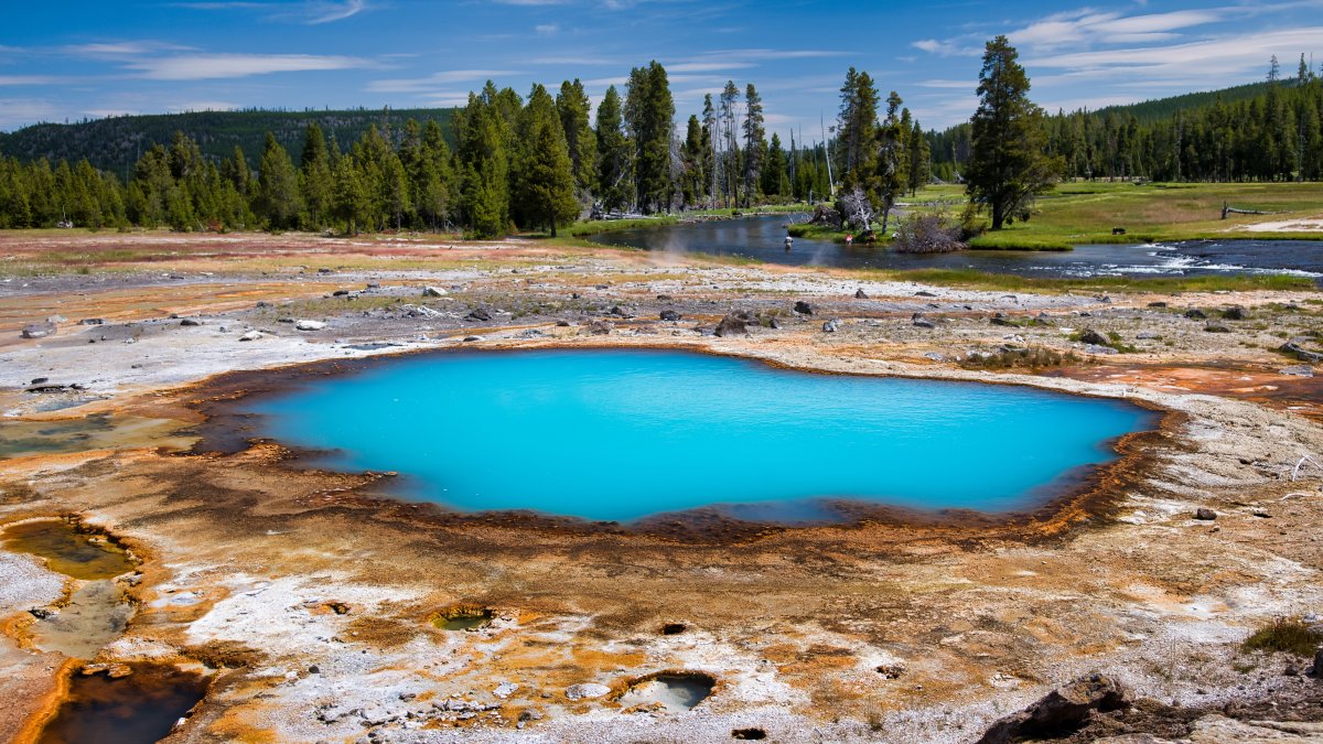 3 Men Banned From Yellowstone After Trying to Cook Chicken in Geyser ...