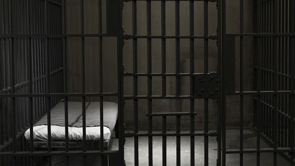 NY Man Admits Trying to Kill Black Teenage Stranger During Her Family ...