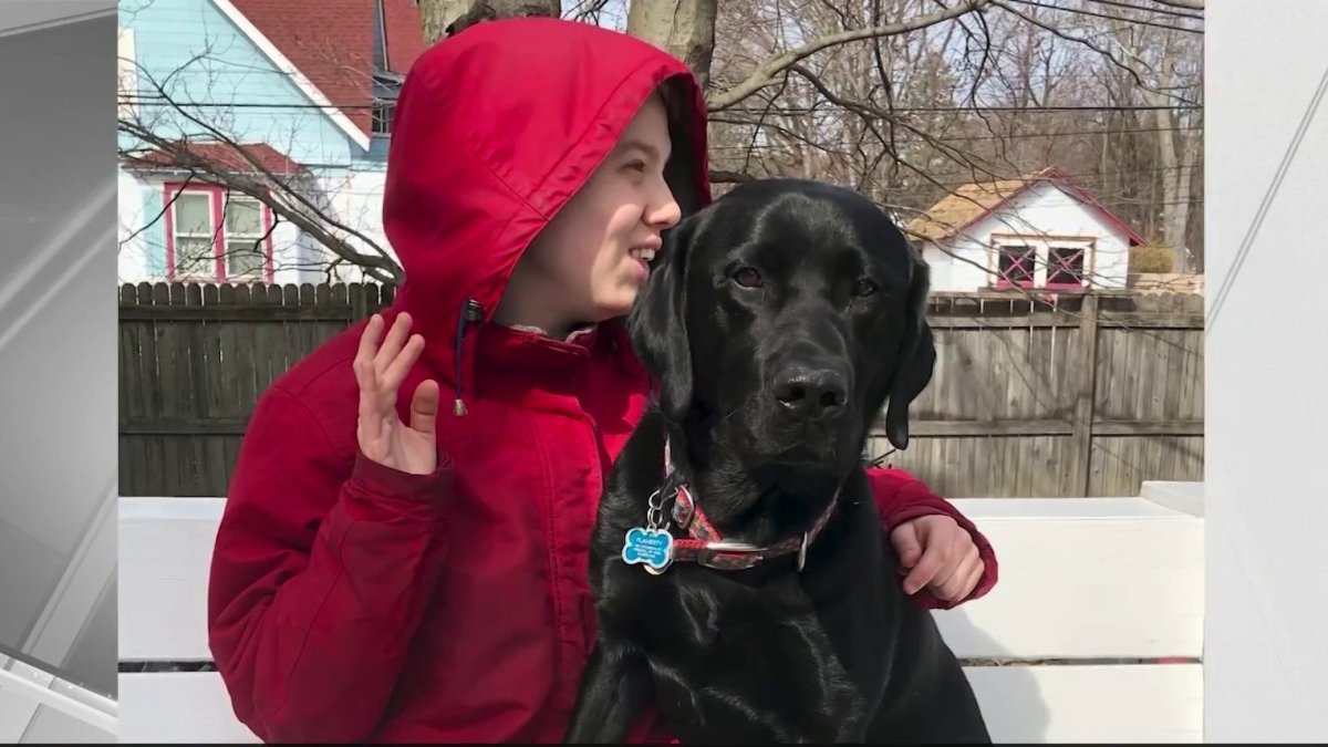 Living With Autism Amid the Coronavirus Pandemic – NBC New York