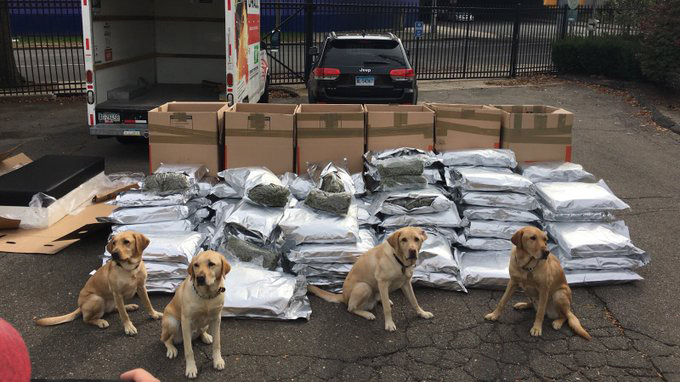 Drug Sniffing Dogs Find 420 Pounds of Marijuana in Rental Truck in ...