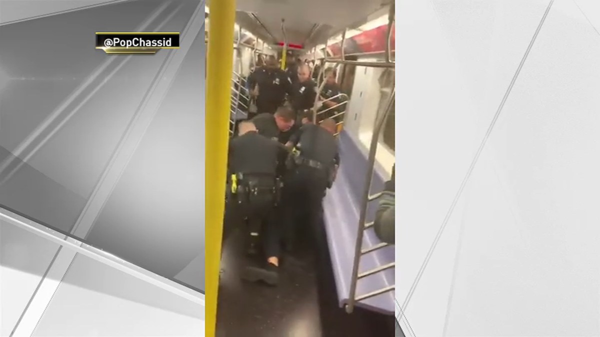 Viral Video Shows Cops Rushing NYC Subway Car to Make Arrest; Suspect ...