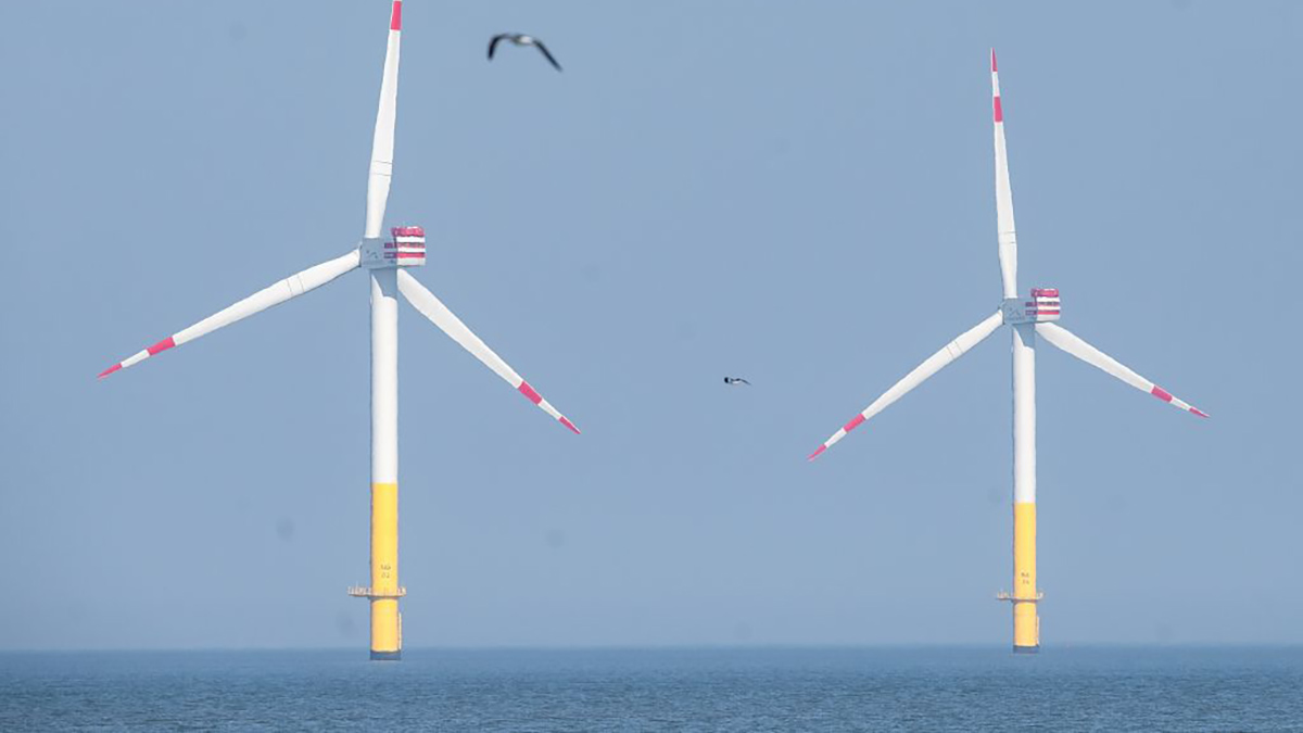 Vineyard Wind: Offshore Wind Project Near Martha’s Vineyard Approved By ...