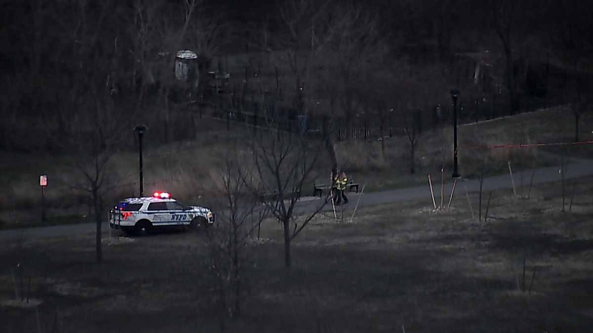 Woman’s Armless, Legless Body Found in NYC Park: Police – NBC New York