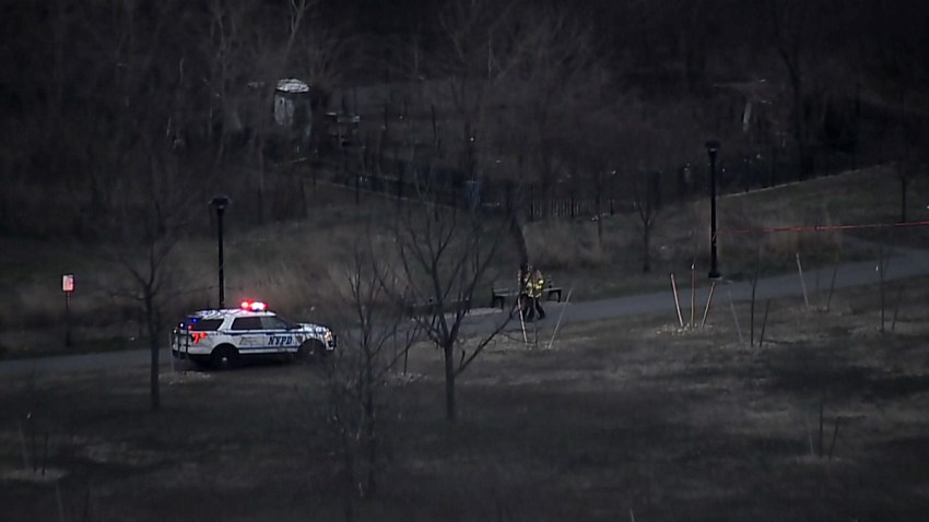 Woman’s Armless, Legless Body Found in NYC Park: Police – NBC New York
