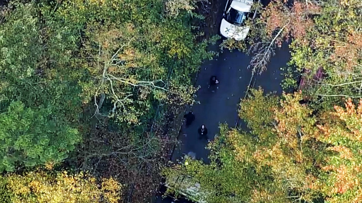 Howell 2019 Machete Attackers Admit to NJ Murder – NBC New York