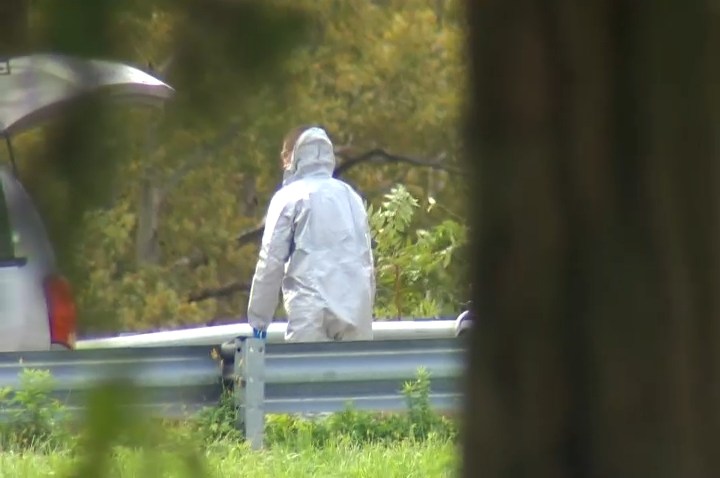 Dead Body Found in New Jersey’s Elizabeth River Near Mattano Park – NBC ...