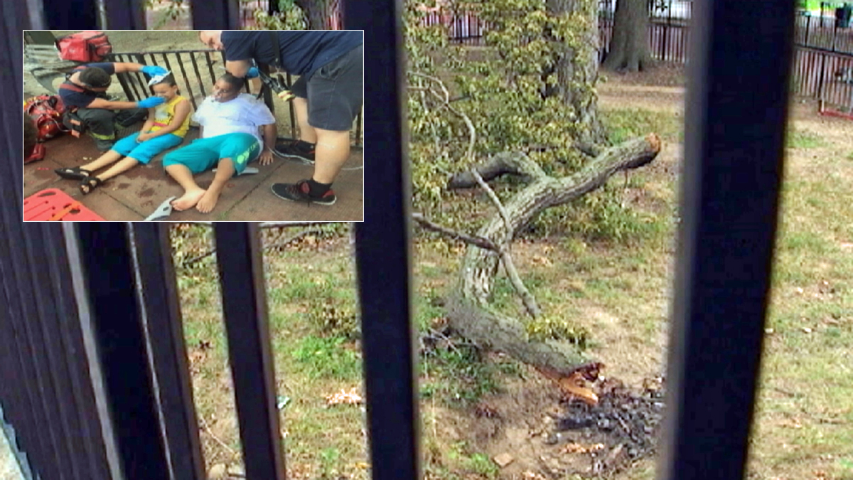 Falling Tree Branch Hits, Injures Boys Playing on NYC Playground – NBC ...