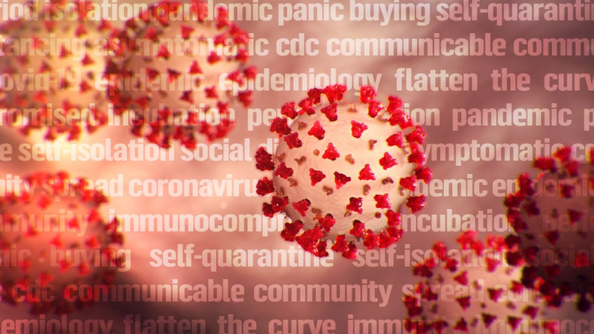 How Does Herd Immunity Work? – NBC New York
