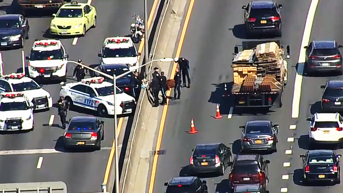 Agitated Cow Gets Loose on Major Deegan, Jamming Traffic – NBC New York