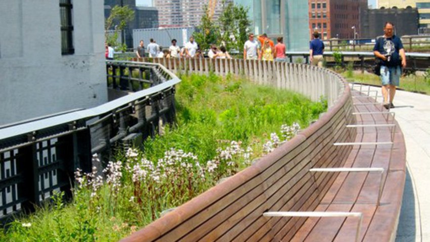 NYC’s High Line Park Marks 10 Years of Transformation – NBC New York