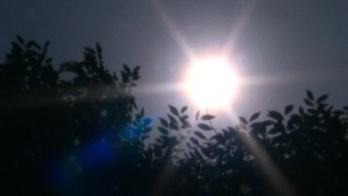 World logs hottest day in recorded history – NBC New York