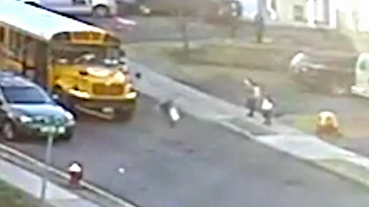 5-Year-Old NY Girl Walks Away With Scratches After Being Hit by School ...