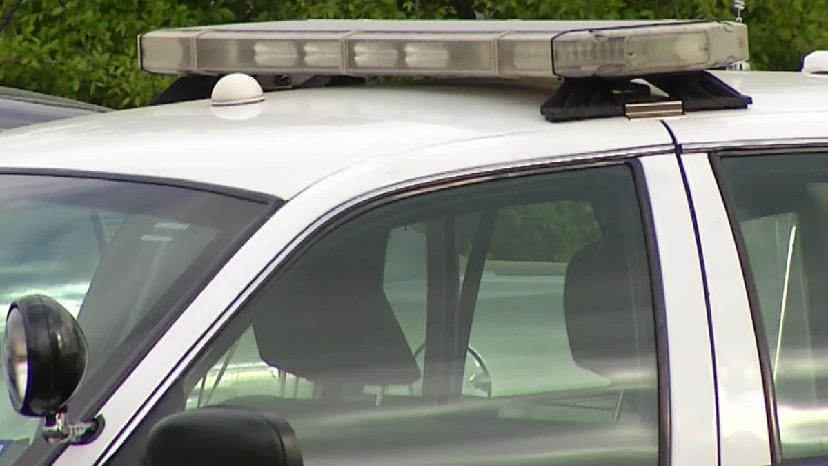 3-year-old and 2 adults killed in Florida during argument over dog sale ...