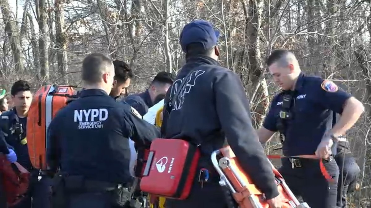 Two Children Rescued After Falling Through Ice at Queens Park Pond ...
