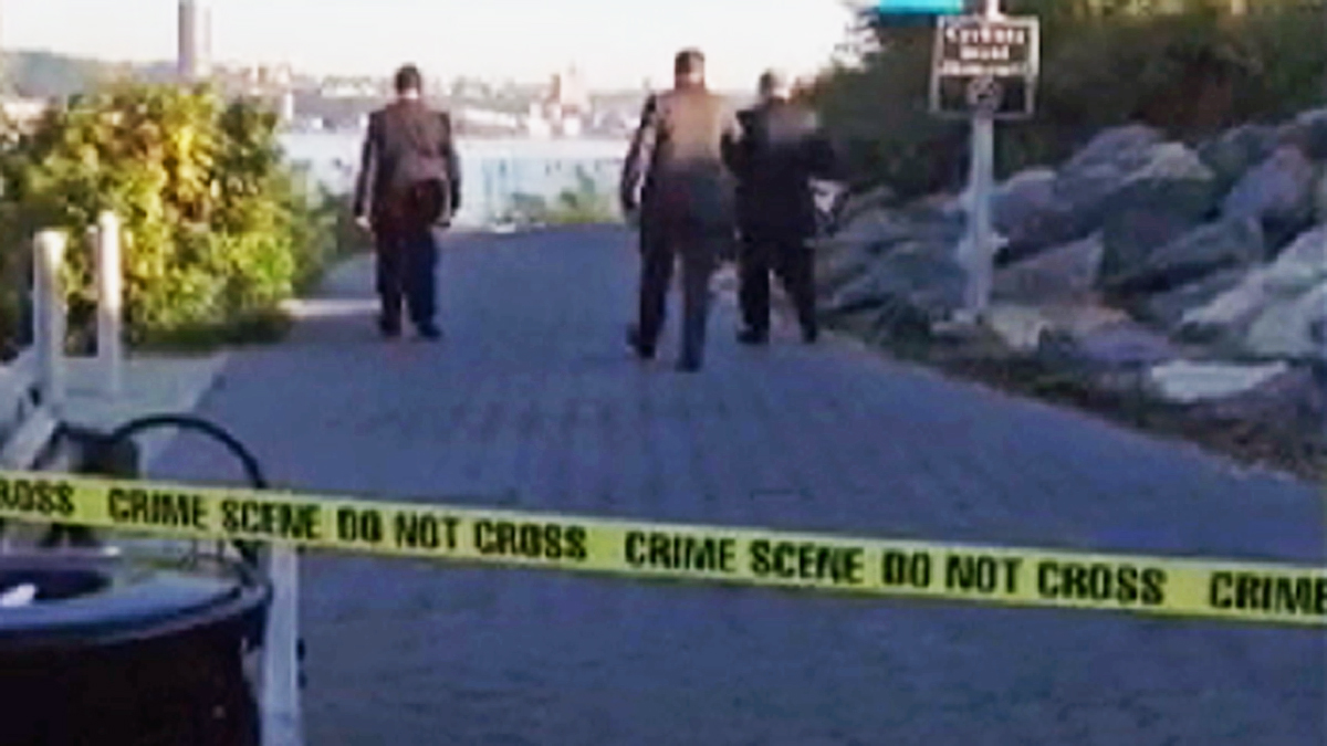 Park Stabbing Victim: Calm Attacker “Wanted to Hurt” People – NBC New York