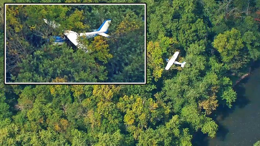 Small Plane Crashes Into Trees, Gets Stuck for Hours, Near New Jersey ...