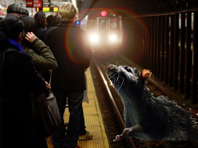 Subway Rats Are Worse Than You Think, Expert Says – NBC New York