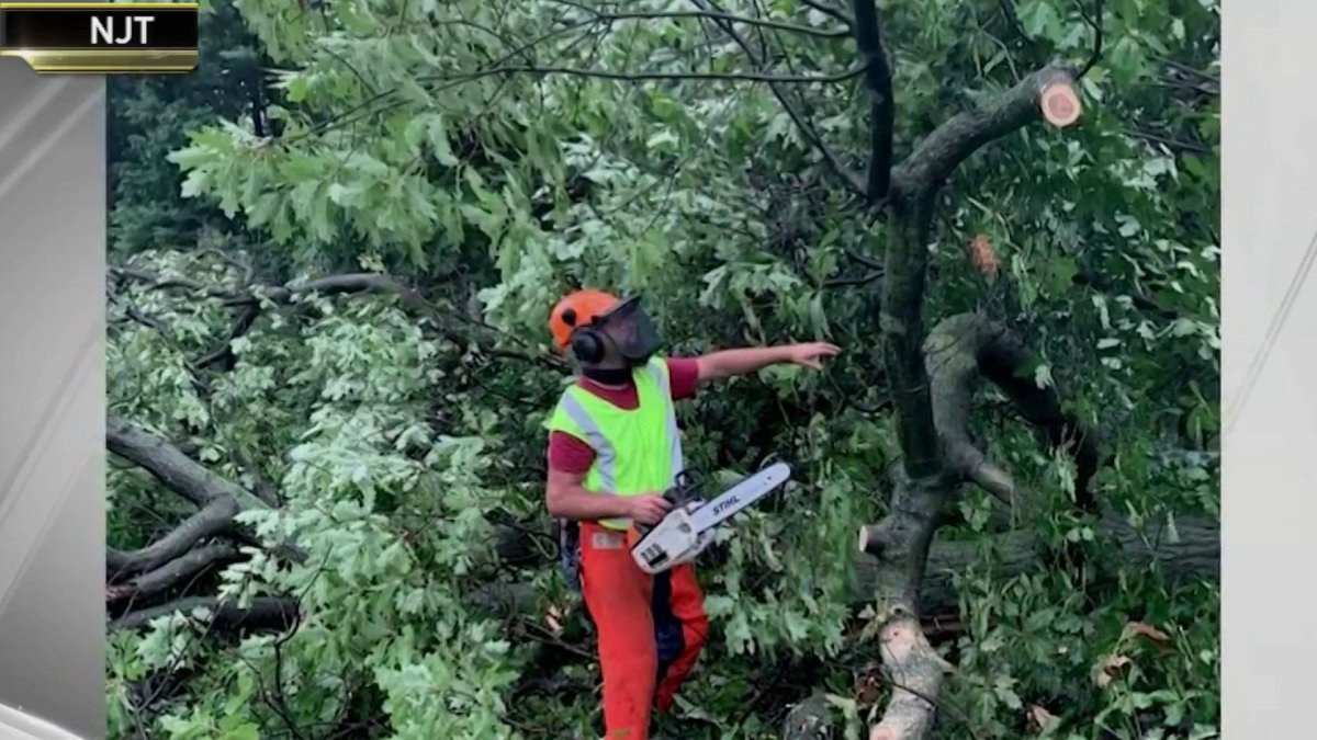 NJT Deals With 150 Downed Trees, Service Still Suspended Wednesday ...