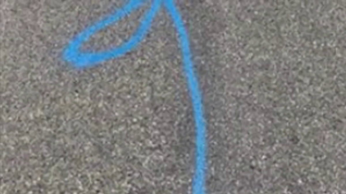 Blue Noose Painted on Street Outside Black Family’s Home in Westchester ...