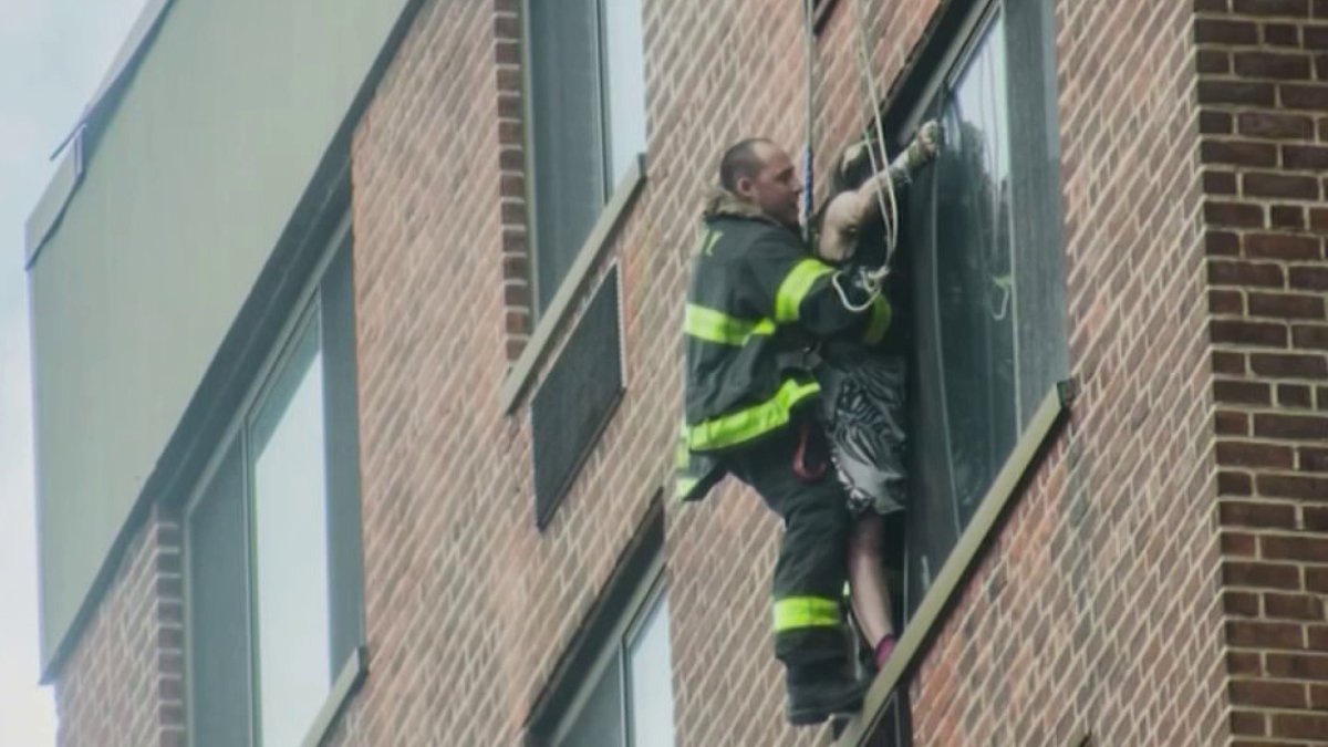 WATCH: Firefighter’s Rescue of Woman on 16th Floor Window in Harlem ...