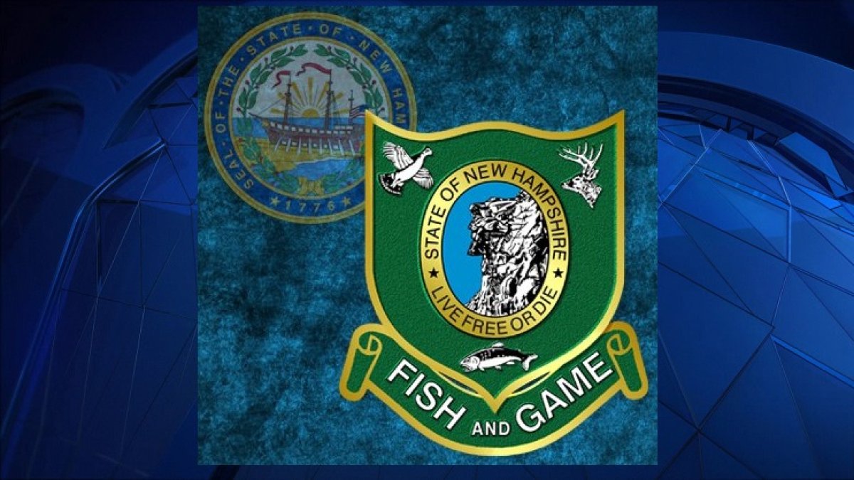 NH avalanche: Ice climbers rescued from Franconia State Park – NBC New York