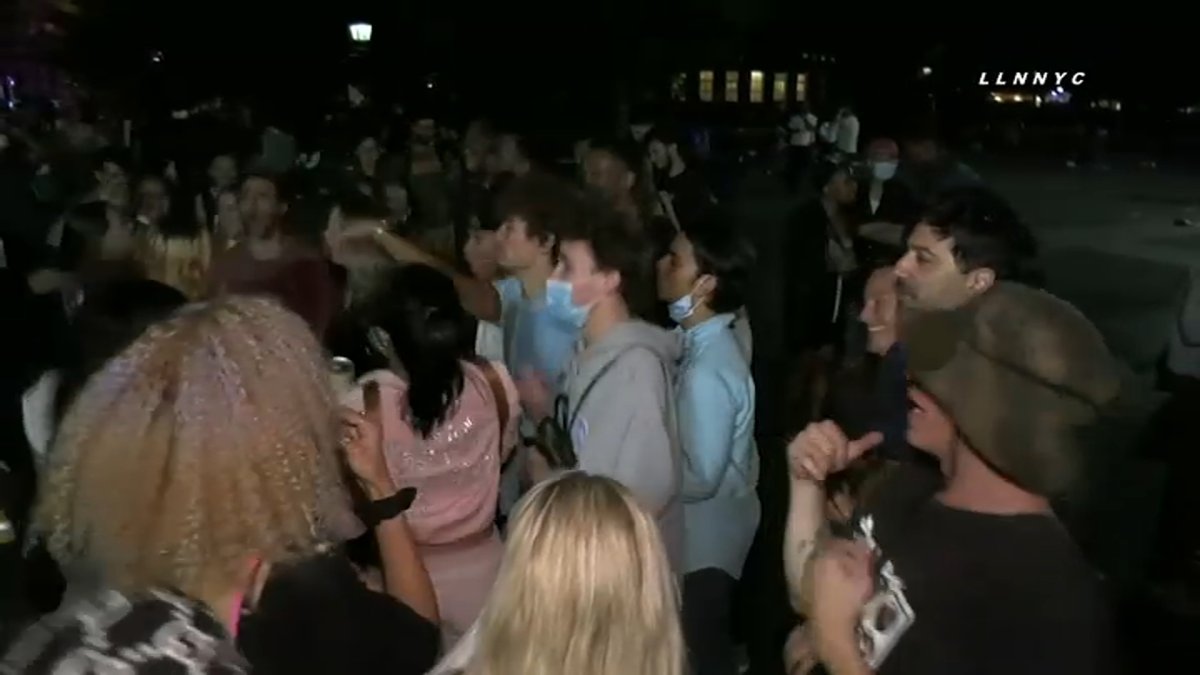 Back-to-Back Weekend Parties in Washington Square Park Keep Nearby NYU ...