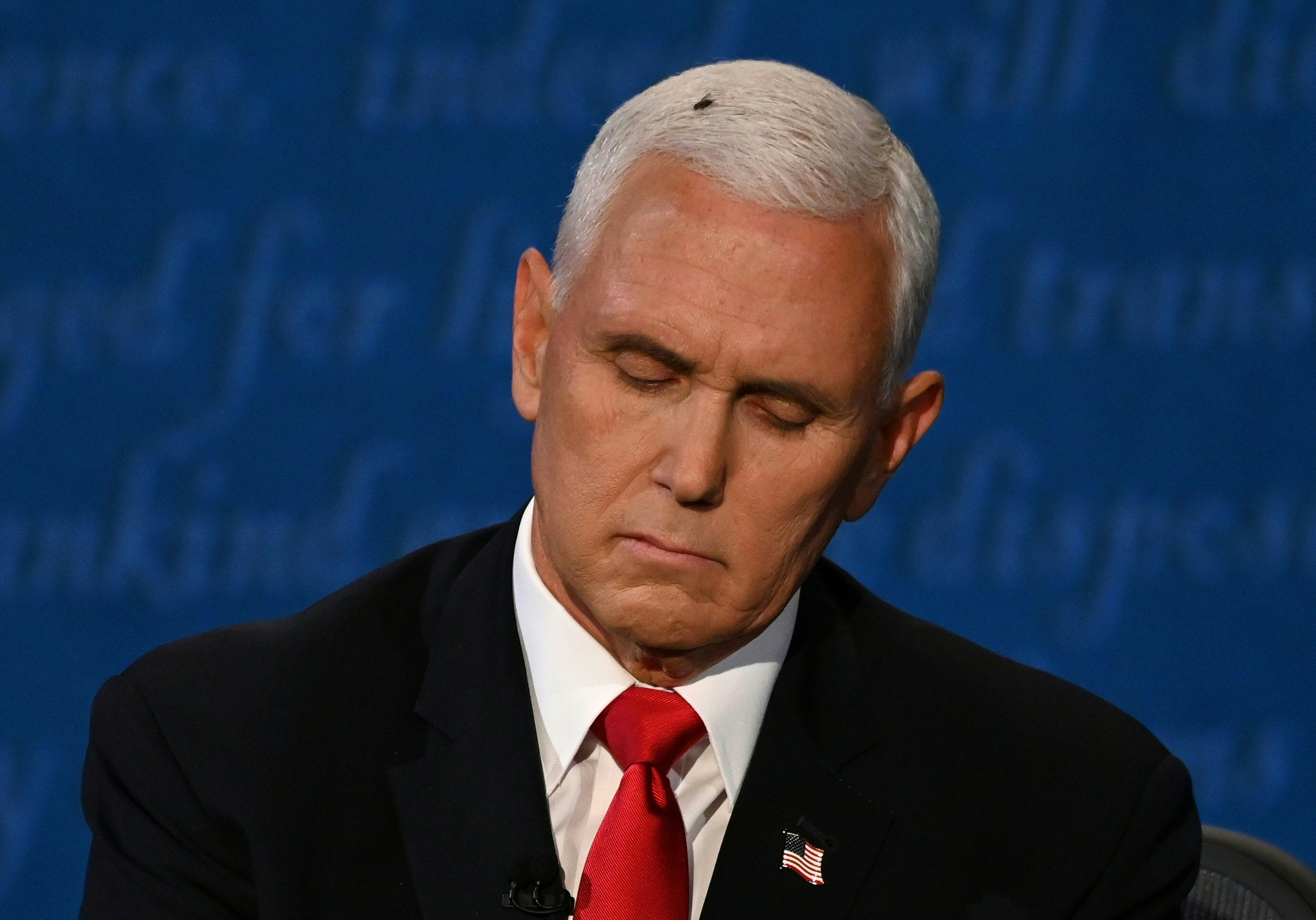 ’The Flies Have It’: Fly Lands on Pence’s Hair During VP Debate – NBC ...