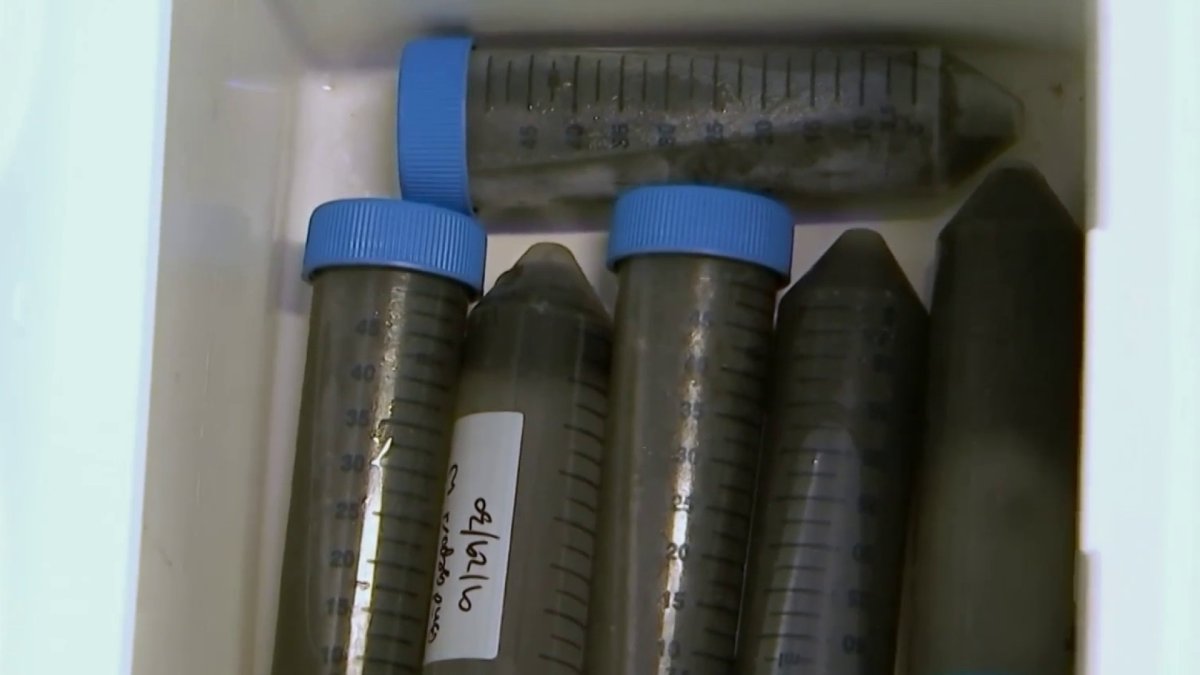 Fecal Matters: Using Sludge, Sewage and Wastewater to Help Fight COVID ...