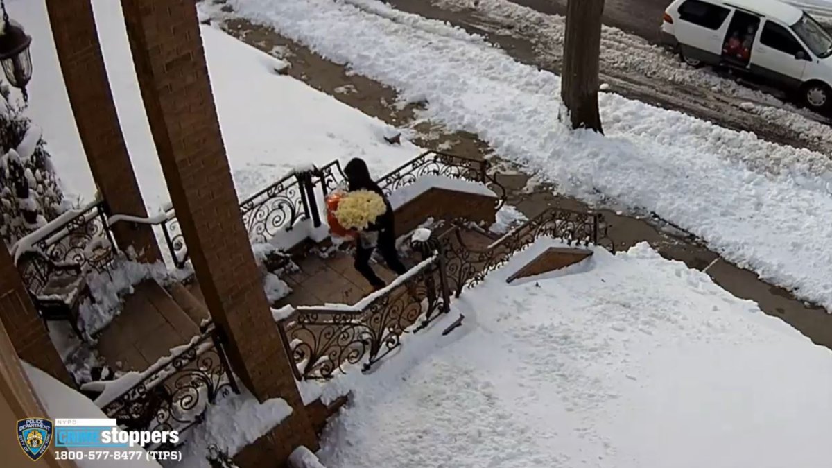 Robbers Dressed as Florists Tase Wife In Queens Home Invasion, Swipe ...