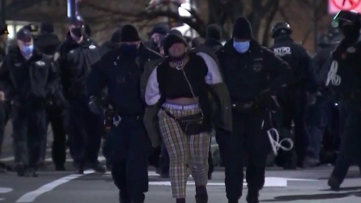 NYPD Commissioner Defends Arrests of 28 Protesters at MLK Day ...