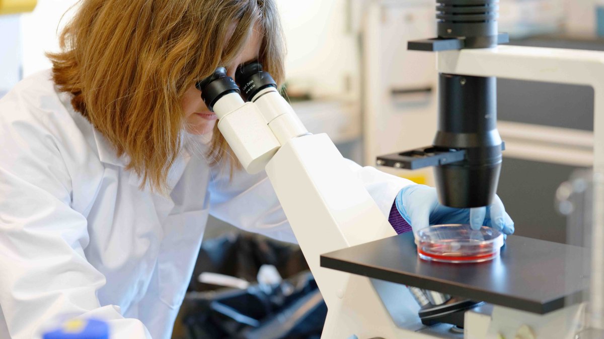 EXPLAINER: What We Know and Don’t Know on New COVID Variant – NBC New York