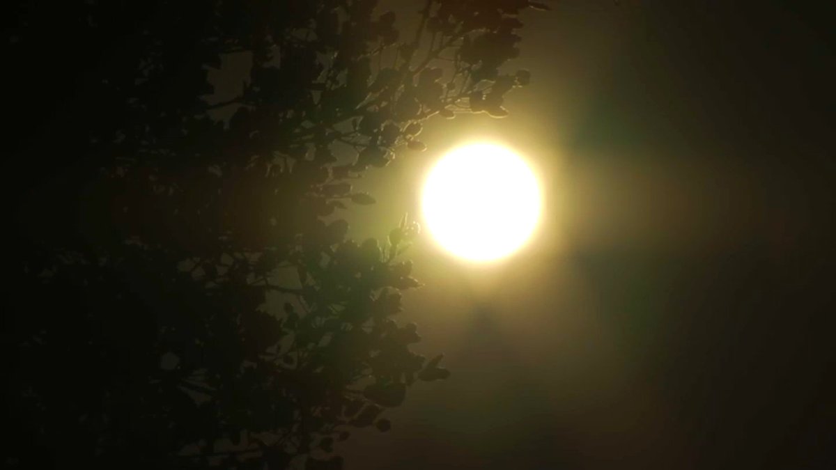 Here’s Why the Global Record Temps Hitting Record Highs Matters – NBC ...
