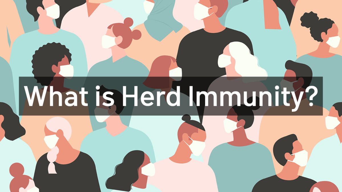 What Percentage of Vaccination Is Needed for Herd Immunity? – NBC New York