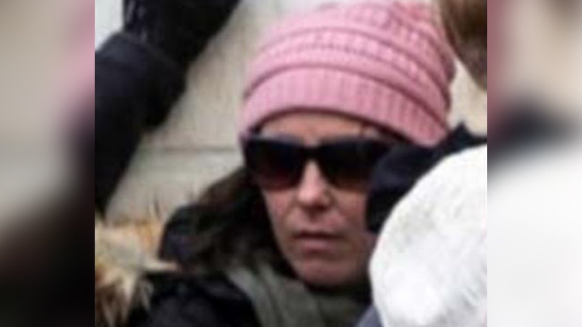 Feds Arrest, Charge Woman in Pink Hat During Capitol Attack – NBC New York