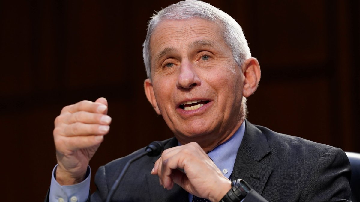 Fauci Says It’s OK to Trick-or-Treat Outside This Year – NBC New York