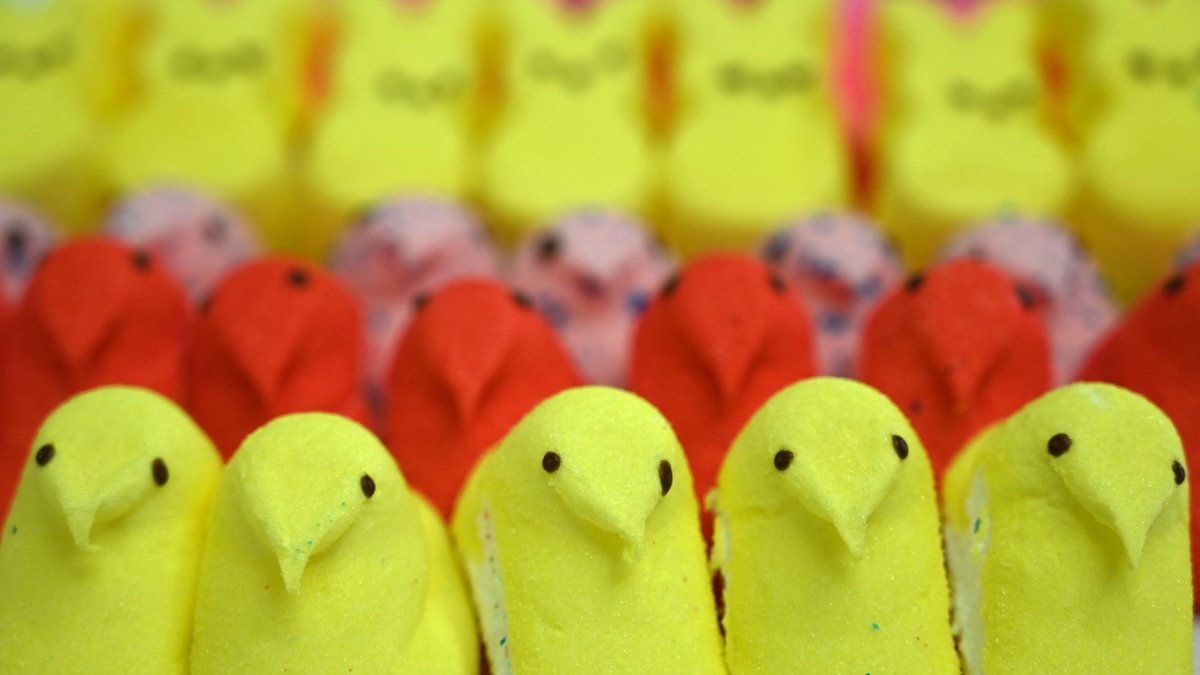 Learn How Are Peeps Made — And See a Video From the Factory – NBC New York