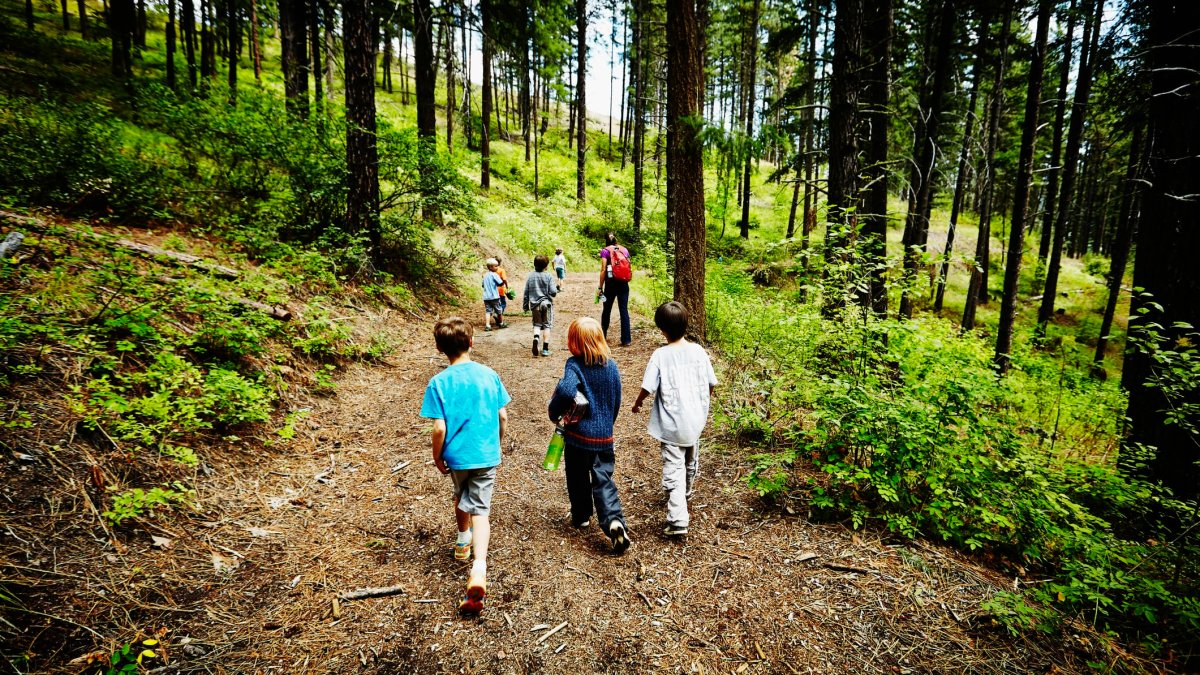 NY Announces New COVID-19 Guidance for Child Care and Camp Programs ...