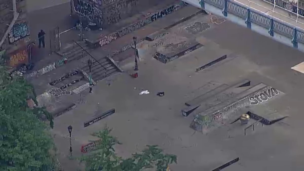Alleged NYC Skate Park Murderer Stabbed Victim 5 Times, Complaint Says ...