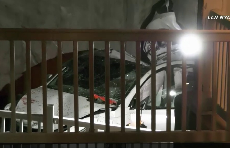Brooklyn News: Tesla Driver Charged in 100 MPH Death Crash – NBC New York