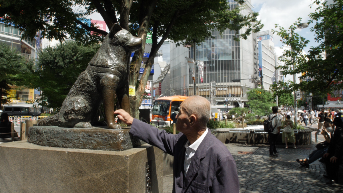 Tokyo’s Tribute to the Dog That Waited 9 Years for Owner – NBC New York