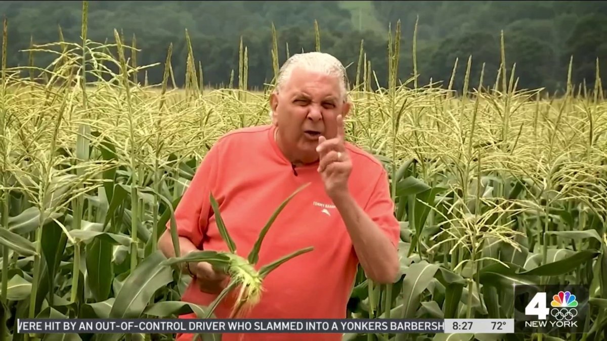 Produce Pete: Corn From Donaldson Farms – NBC New York