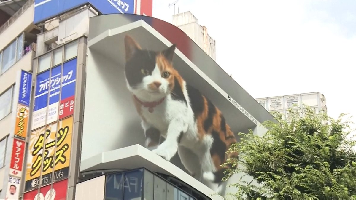 Giant 3D Cat Appears on Tokyo Billboard – NBC New York