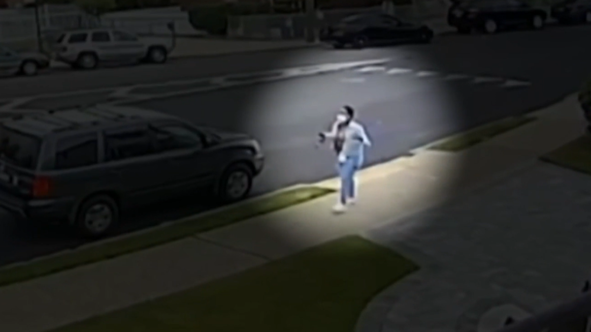 Brooklyn Dog Walker Attacked by Off-Leash Dogs, Neighbors Say It’s Not ...